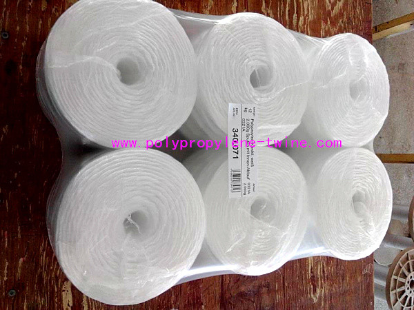 Raw White Polypropylene Twine Packing Rope Lt021 Diameter 1mm - 6mm
