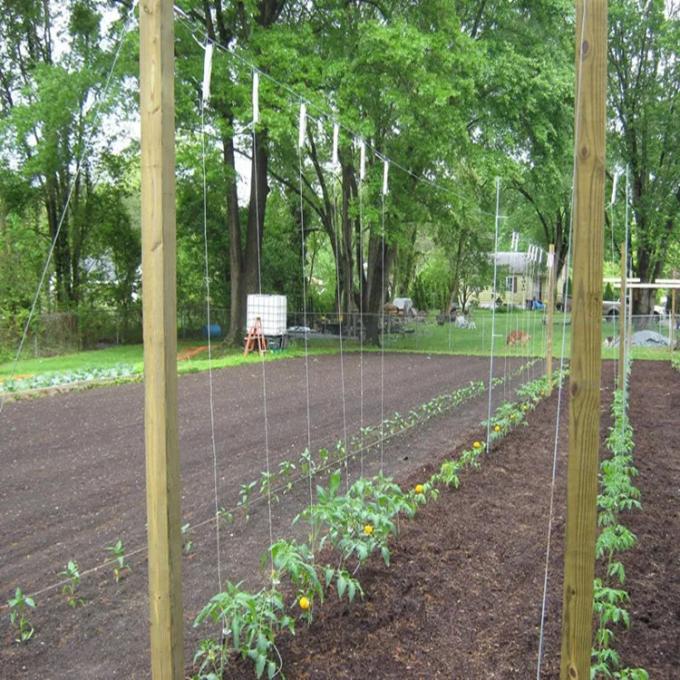 High Strength Polypropylene Tomato Twine For Agricultural Baler 2mm / 3mm
